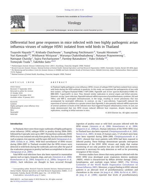 Pdf Differential Host Gene Responses In Mice Infected With Two Highly