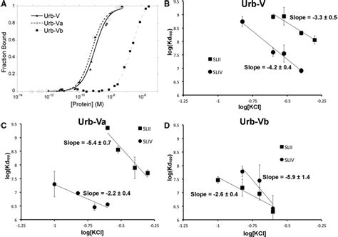 Salt Dependence Of Binding To Wild Type Rna Stemloops A Binding Download Scientific Diagram
