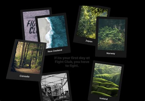Best Free Card Components Aceternity Ui
