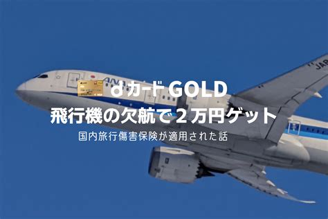 Dカードgold 飛行機の遅延・欠航で保険金を請求した体験談【国内旅行損害保険】 旅ブログ Enucla