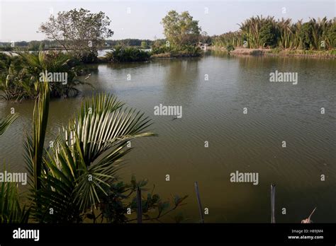 A Prawn Farm That Practises Extensive And Natural Farming Including