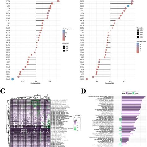 Correlation Of Tmem158 With Immune Related Biomarkers And Biological