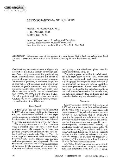 Pdf Leiomyosarcoma Of Scrotum