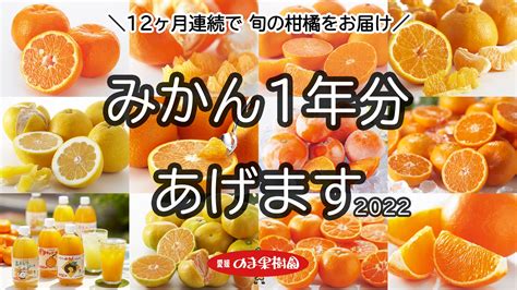 みかんのことなら「のま果樹園」 On Twitter 11月3日は みかんの日🍊 ／ 自分で言うけど神企画！ 出た！みかん1年分