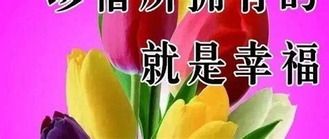 珍惜所拥有的，就是你的幸福问候生活好歌
