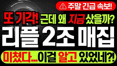 리플 Xrp 전망 🚀 엑스알피 코인 또 기각 근데 왜 2조 매집했나 미쳤다 이걸 알고 있었다니 리플 엑스알피 리플코인 리플전망 Youtube