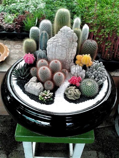 22 Mini Cactus Garden Ideas You Should Check Sharonsable