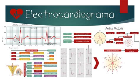 Fisiología Médica Electrocardiograma