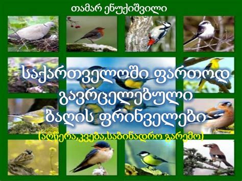 ბაღის ფრინველები Pdf