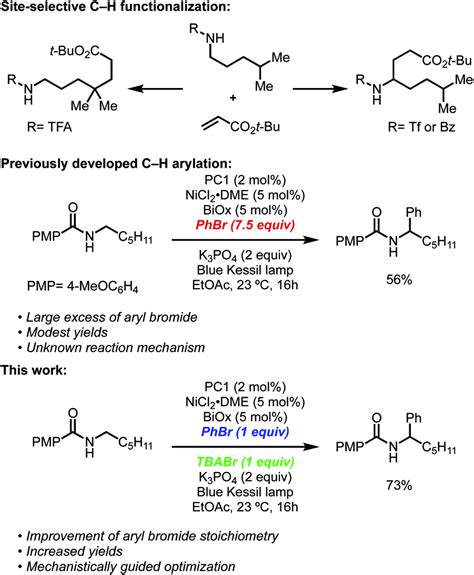 Site Selective C H Functionalization Of Protected Amines Download Scientific Diagram