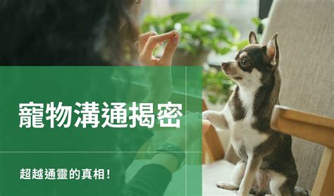 寵物通靈師｜寵物溝通師帶你深入了解寵物的內心想法！