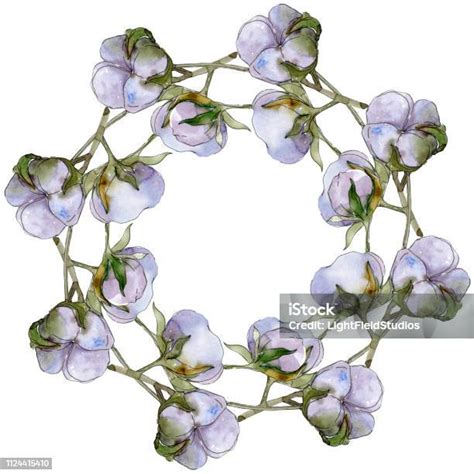 목화 꽃 식물 꽃입니다 야생 봄 잎 플라워 격리입니다 수채화 배경 그림 설정 합니다 수채화 그리기 패션 해당 격리입니다 그리기에 대한 스톡 벡터 아트 및 기타 이미지