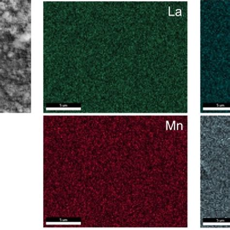 Sem And Eds Mapping For La Ca Mn And Al Of The Lcma Powder Showing