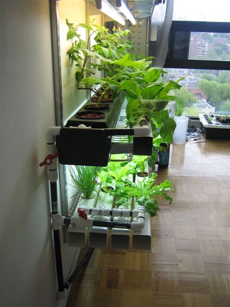 Home Built Systems Hydroponics Wiki