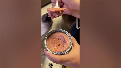 顽皮狗的羊毛赶紧薅，一个id一单哦这我的小狗快看啊 柯基 顽皮狗 萌宠推荐官 Youtube