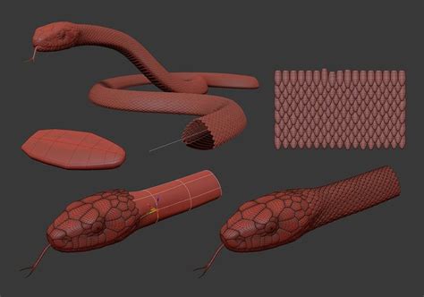 Free Stuff Zbrush Tutorial Zbrush Solidworks Tutorial