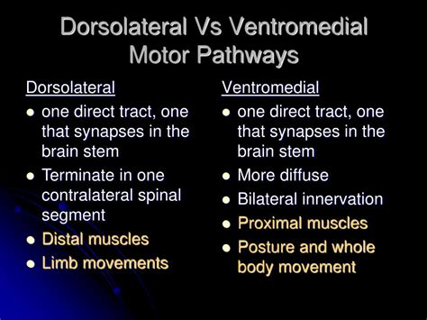 Ppt Sensorimotor Systems Learning Memory And Amnesia Powerpoint Presentation Id 3988800