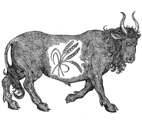 Sin Eater Look Into My Eyes Tattoo Designs Art