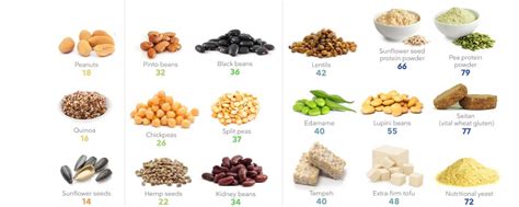 High Protein Vegetarian Diet Tips For Your Fitness