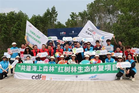 “共建海上森林”红树林种植活动启动 知乎