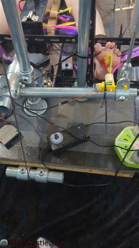 My First Attempt At An Automated Tickling Machine Oc F Cc Sa R