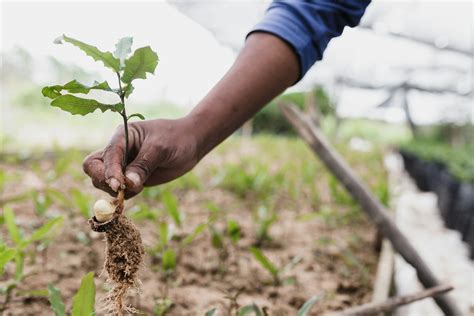 BOI AND AFD JOIN FORCES TO FIGHT CLIMATE CHANGE IN NIGERIA Bank Of