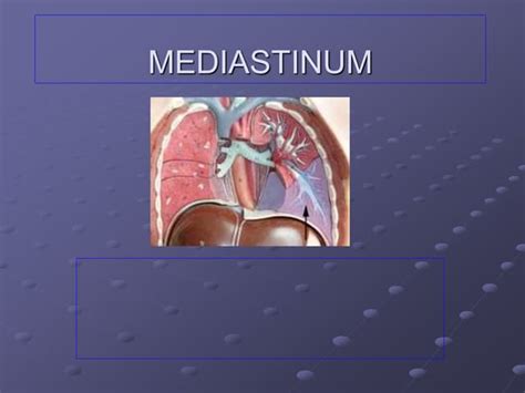 Mediastinum Ppt