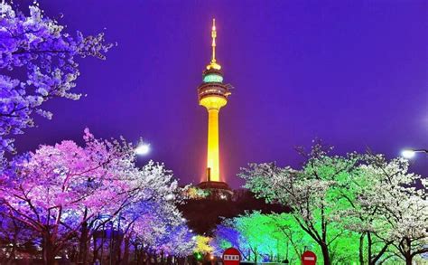 Cherry Blossoms At N Seoul Tower Namsan Park Near Myeongdong Seoul