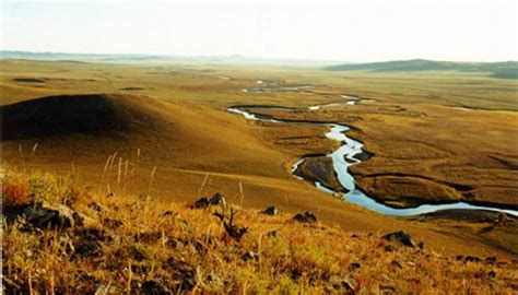САРЫН ӨМНӨ АЛГА БОЛСОН ХОЁР НАСТАЙ ХҮҮХДИЙН ЦОГЦСЫГ ОЛЖЭЭ