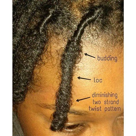 Dreadlocks Size Chart