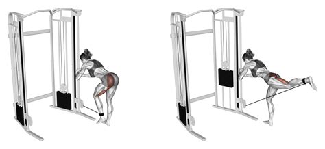 Cable Donkey Kickback 4 Benefits Muscles Worked Inspire US