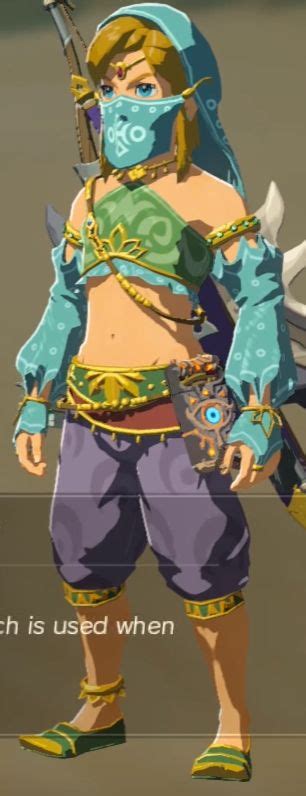 Pin By Sheen Rye Stone On Gerudo Link Botw Cosplay Ideas Link