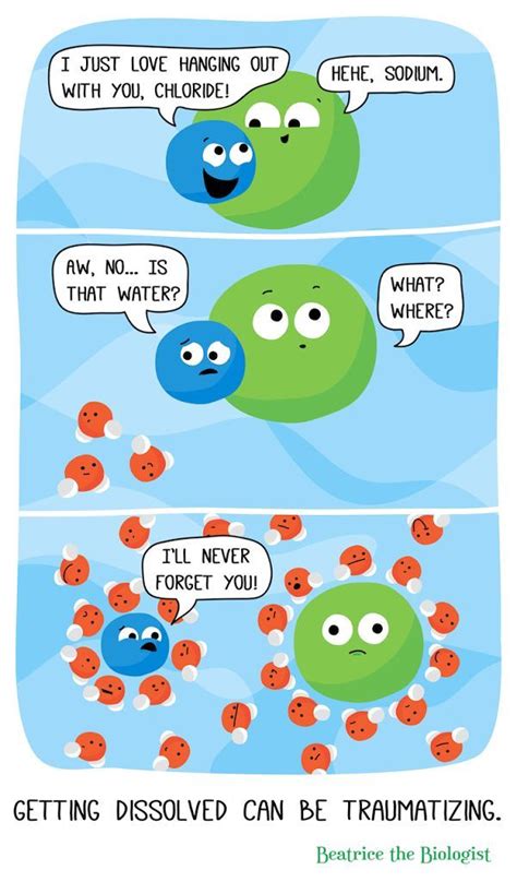 Bhsbiologyclass Chemistry Of Life Chemie Witze Lustige