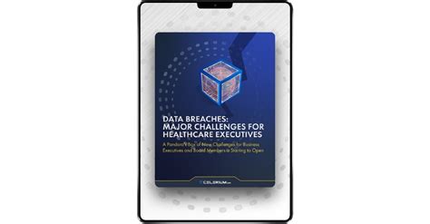 Celerium Releases White Paper On Data Breach Challenges Facing