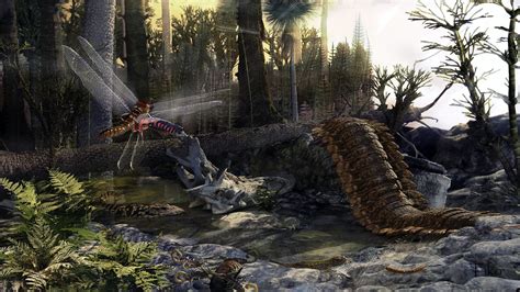 How The First Trees Nearly Froze The Earth