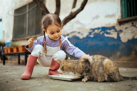 뒷마당에서 고양이와 놀고있는 아이 어린이와 애완 동물 아이에 대한 스톡 사진 및 기타 이미지 아이 애완고양이 놀기