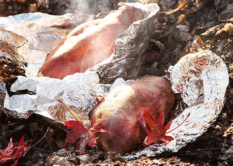 焼き芋ブームはいつまで続くのか？検証！焼き芋第一次ブームから第四次ブームまで！焼き芋ブームはいつから始まった！焼き芋が詳しくなる！誰かに話し
