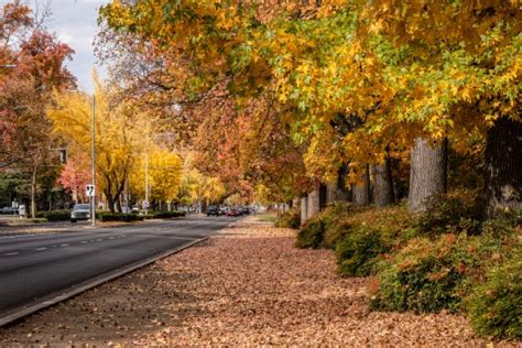 Why We Still Love Chico — The Second Time Around Chico Enterprise Record