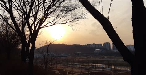 나의 기쁨 나의 소망되시며 95장 통102장 네이버 블로그