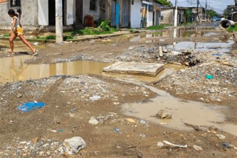 Incrementan A 157 Los Casos De Leptospirosis En Ecuador Radio Pichincha