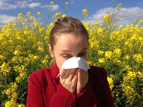 Allergy Season Is Here How To Mitigate The Effects Safe And Sound Home Care