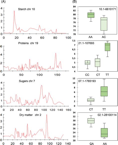 Quantitative Trait Loci And Candidate Genes For Physico‐chemical Traits Related To Tuber Quality