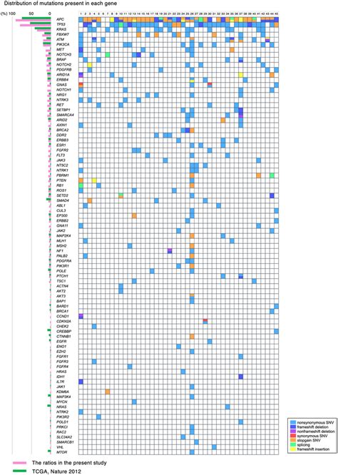Comparison Chart Of Gene Mutations In 45 Crc Samples Mutations Of 114 Download Scientific