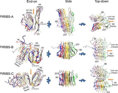 Molecular Dynamics Simulations Of The Models Shown In Fig 6 With The
