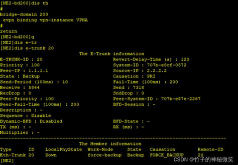 Evp双归属单活实例配置vlan Extend Private Enable Csdn博客