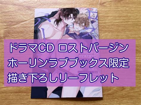 ロストバージン How To Sex リーフレット By メルカリ