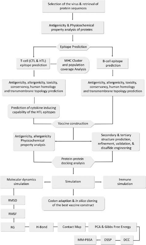 Flowchart Depicting The Step By Step Procedures Used In The Vaccine Download Scientific Diagram