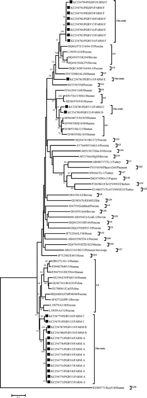 neighbor joining maximum composite likelihood mcl phyloge download