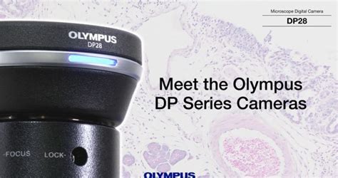 Life Science Microscopes Evident Scientific