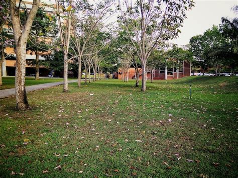 Premium Photo Empty Park